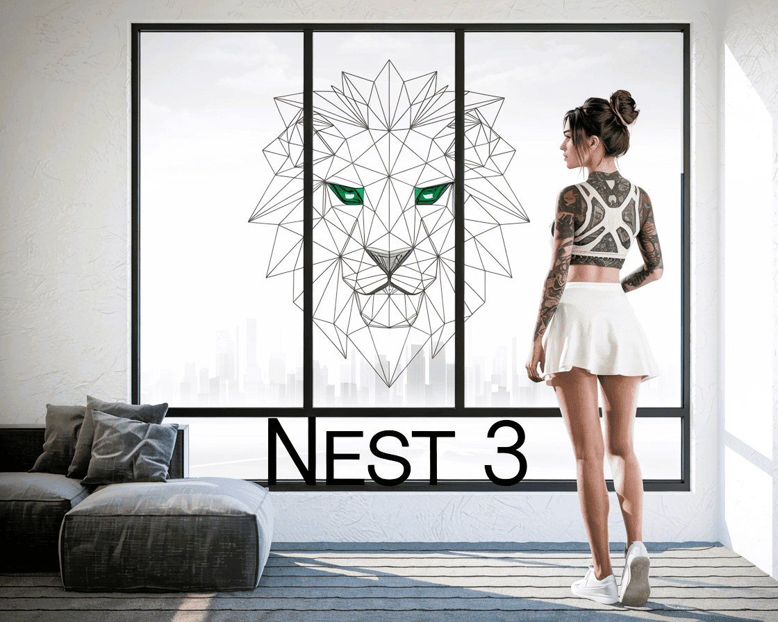 Optimisez Votre Énergie avec le Thermostat Google Nest 3ème Génération